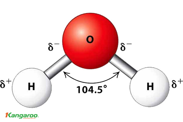 Liên kết Hidro là gì? Những điều thú vị về liên kết Hydro